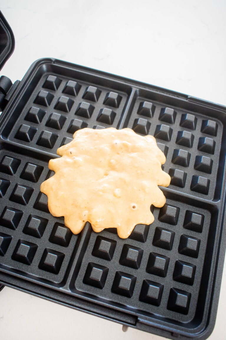Waffle Recipe for Dogs | Easy Brunch Recipe