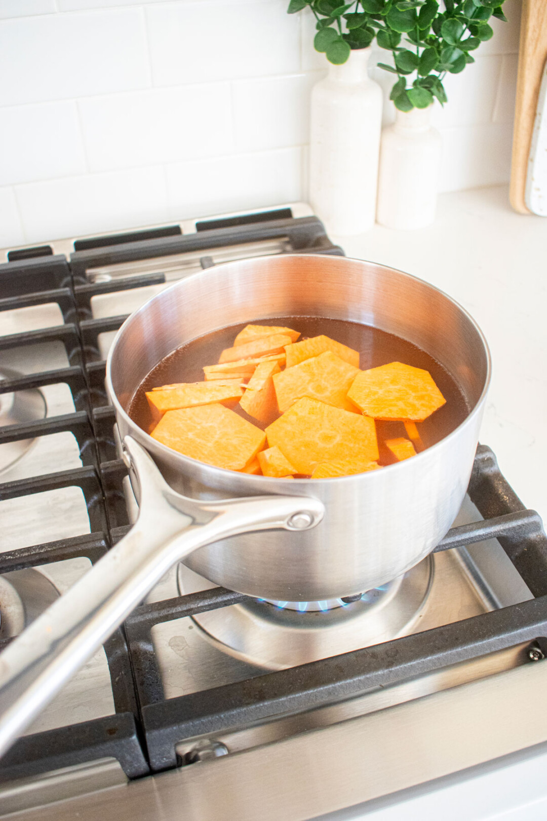 Thanksgiving Dinner for Dogs | Mimi's Organic Eats