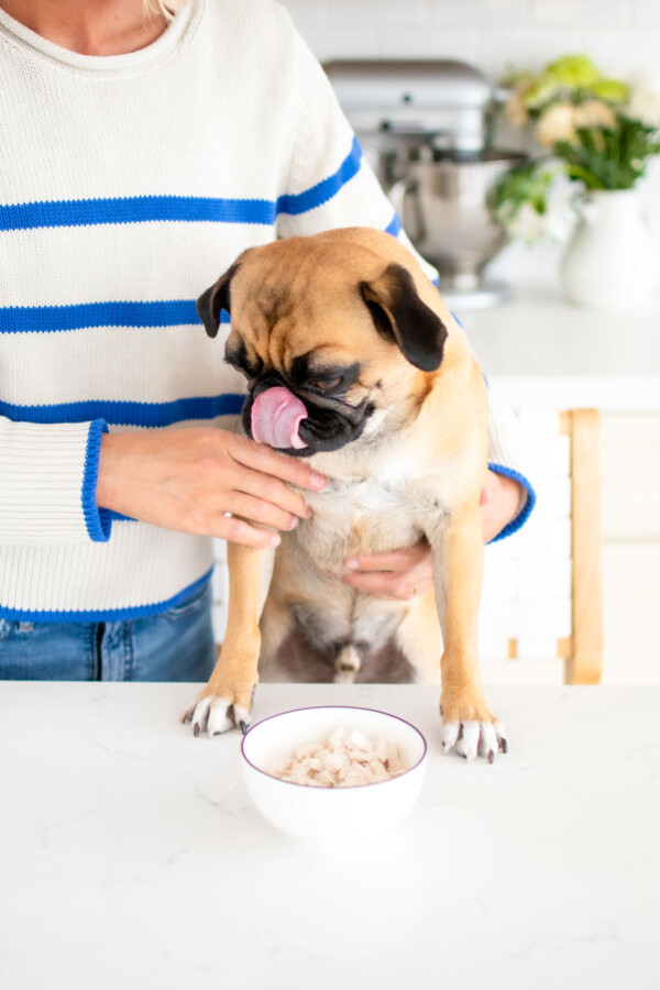 How to Cook a Whole Chicken for Dog Food | Mimi's Organic Eats