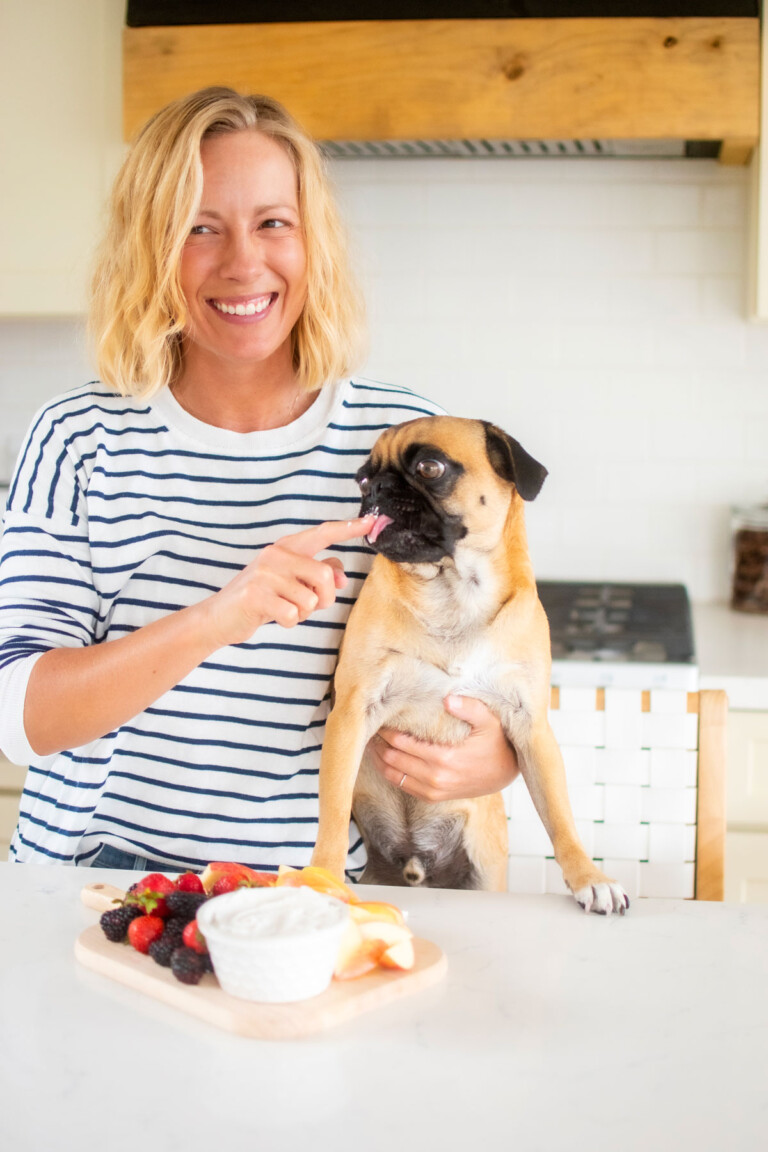 Dog Friendly Whipped Cream Recipe | Mimi's Organic Eats