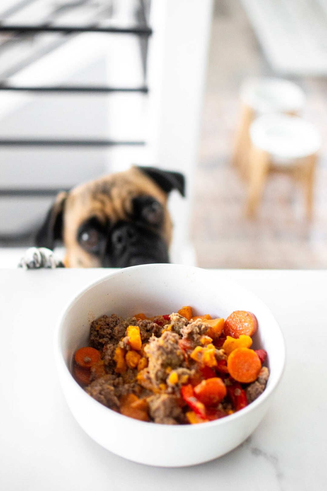 Slow Cooker Beef Dog Food | Mimi's Organic Eats