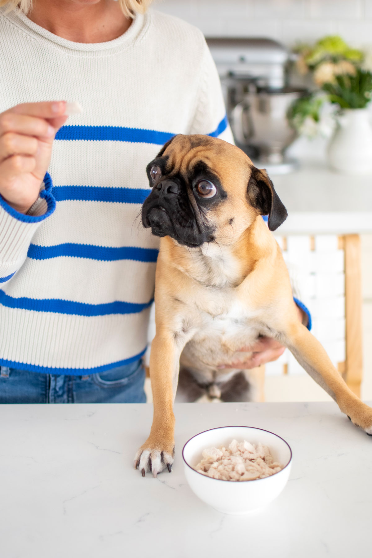 How to Cook a Whole Chicken for Dog Food | Mimi's Organic Eats
